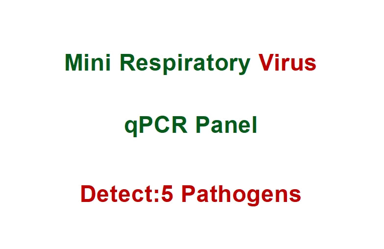 Mini Respiratory Virus qPCR Panel – The Patient Labs